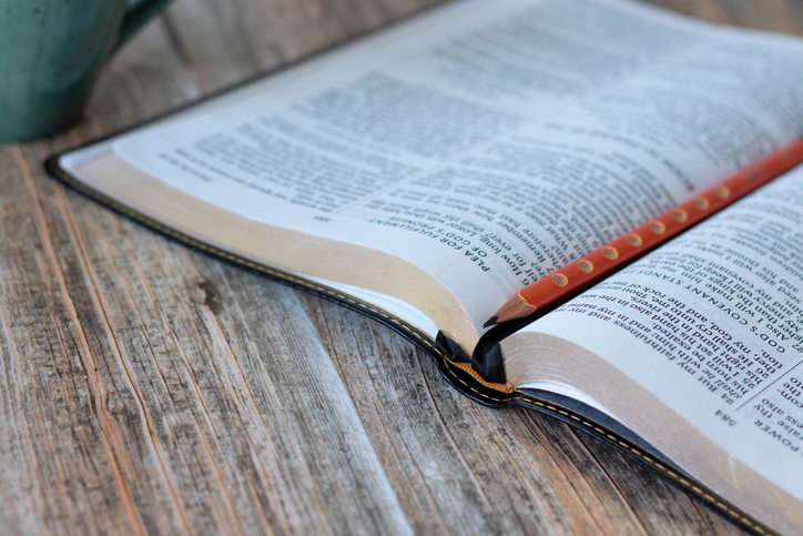 20 Bible Verses That Honor Black History